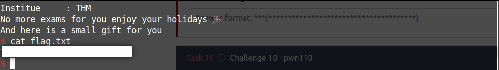 Pwn101 - TryHackMe CTF Write-up - vvelitkn